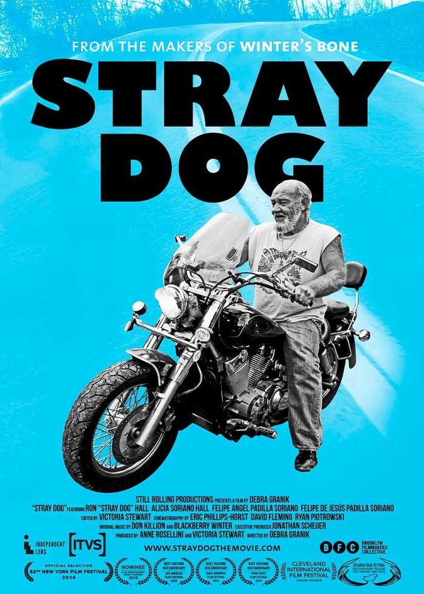Stray Dog - Nonstop Entertainment